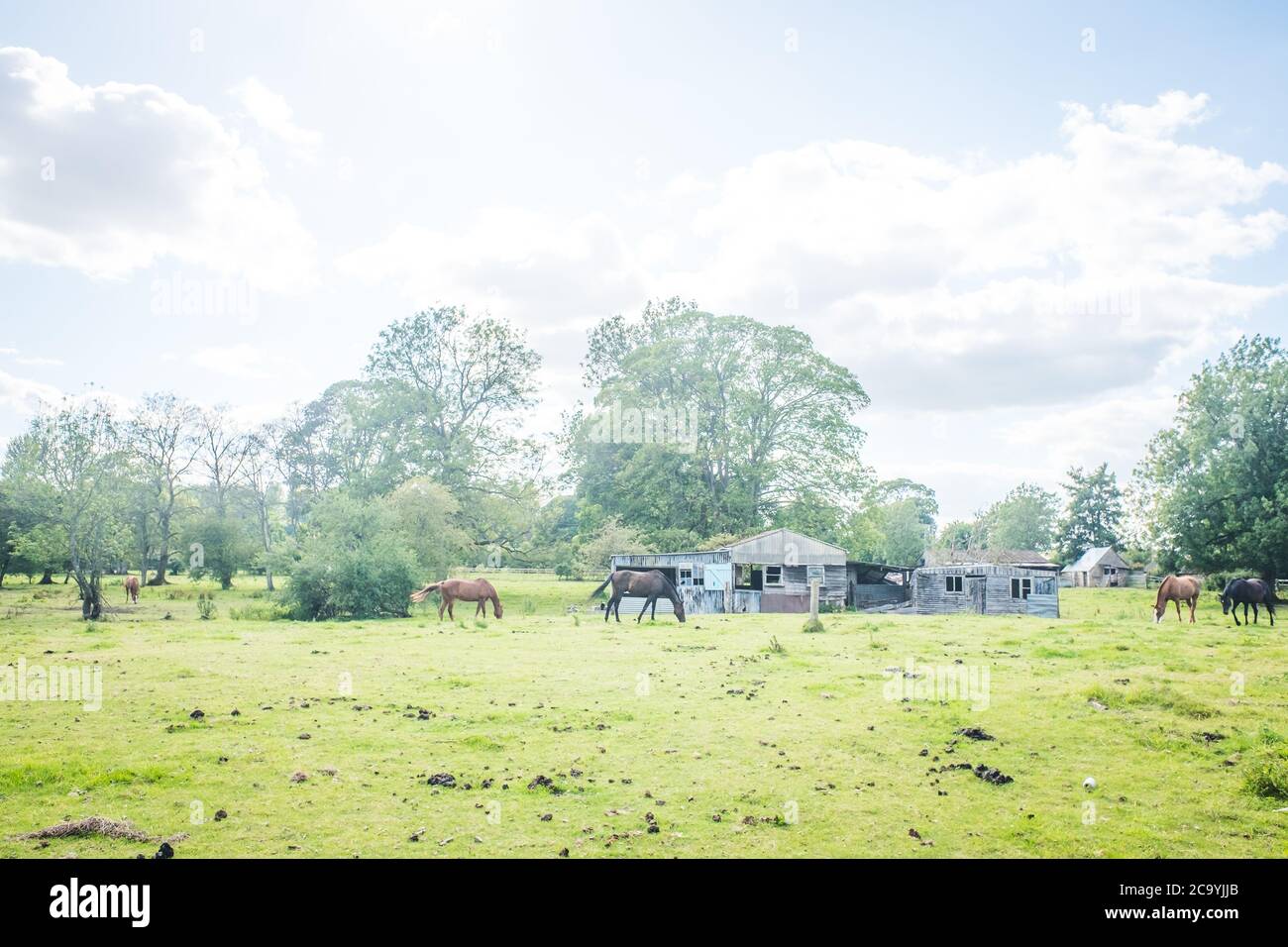 landscape of the Cotswolds in beautiful summer sunshine UK Stock Photo ...