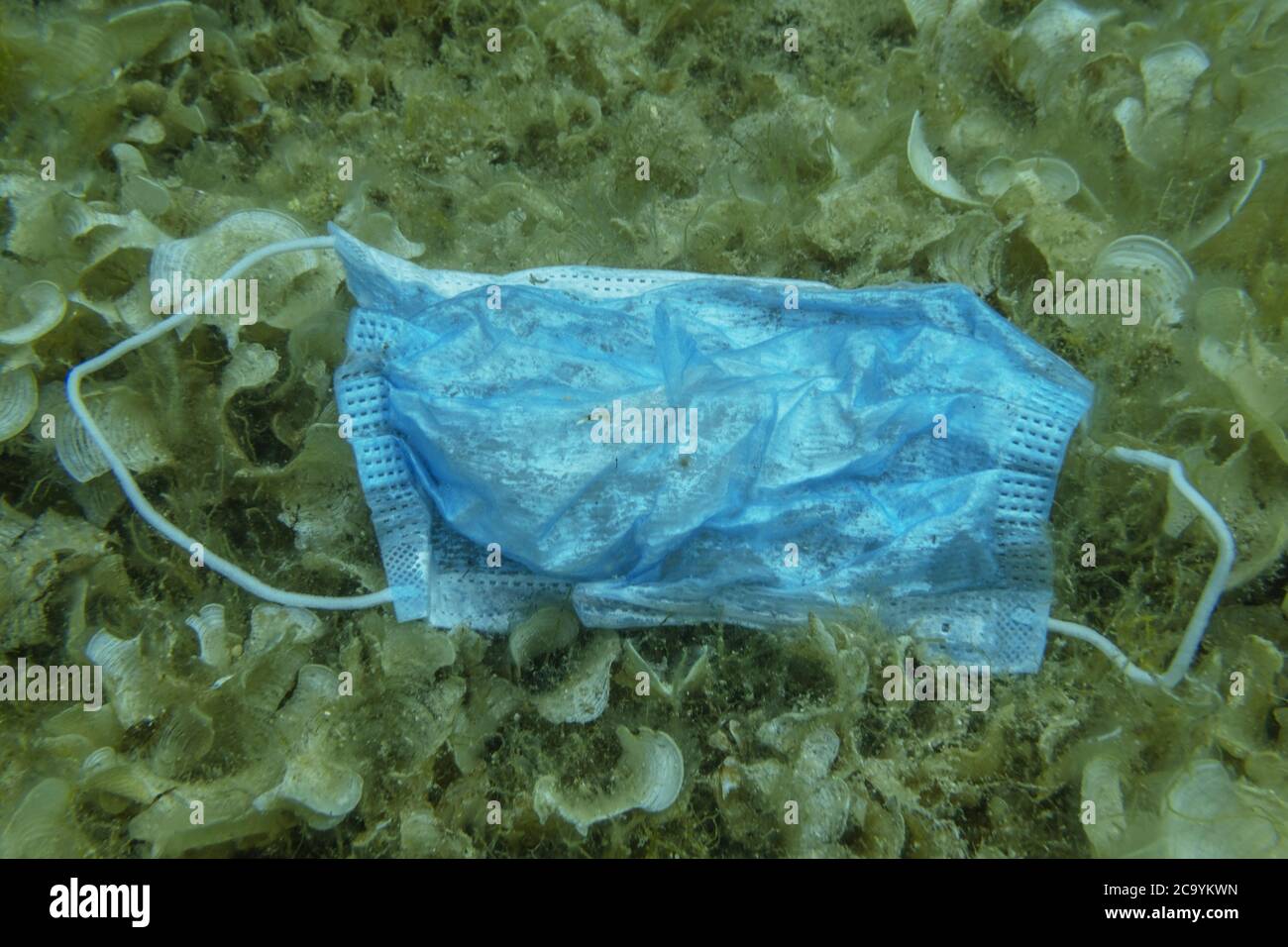 Close-up of discarded used medical face mask lies underwater on a rocky ...