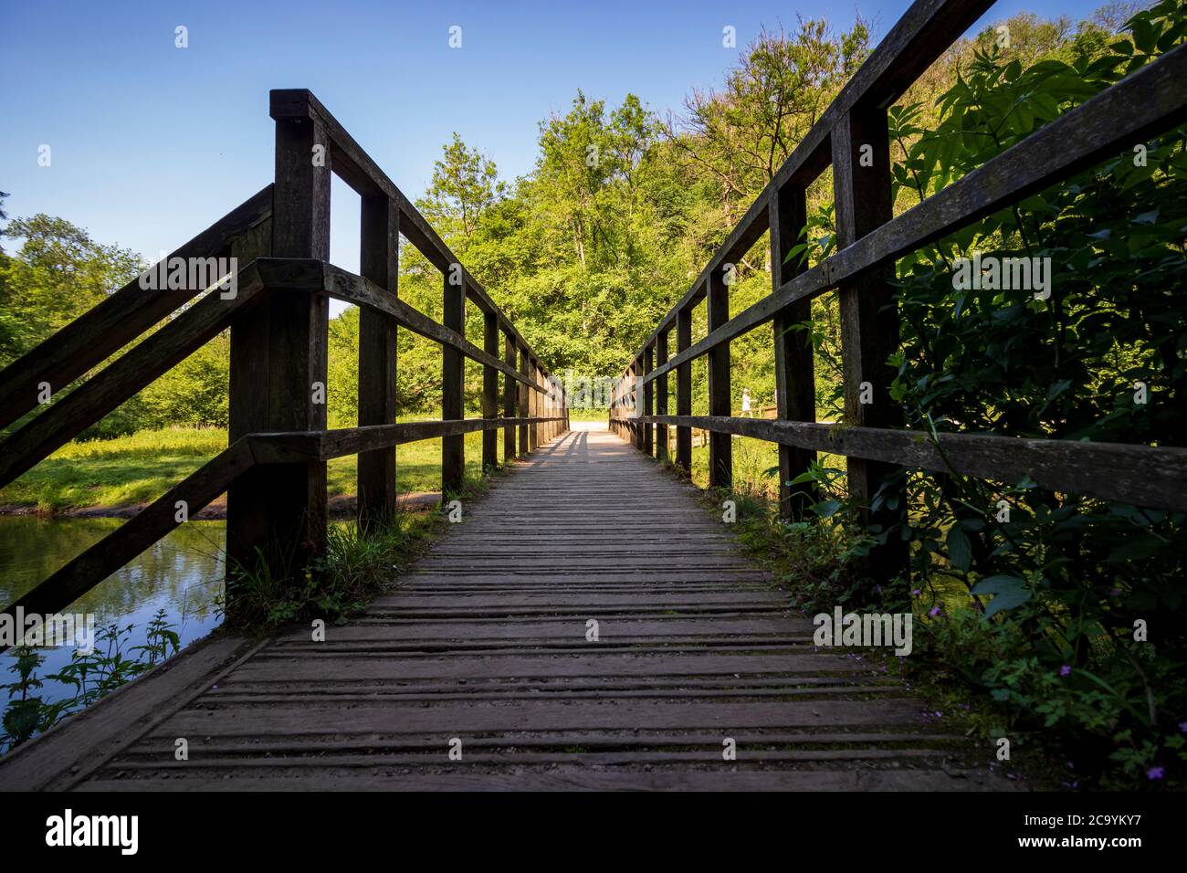 Dovedale-A wooden bridge in a nature reserve in England Stock Photo - Alamy