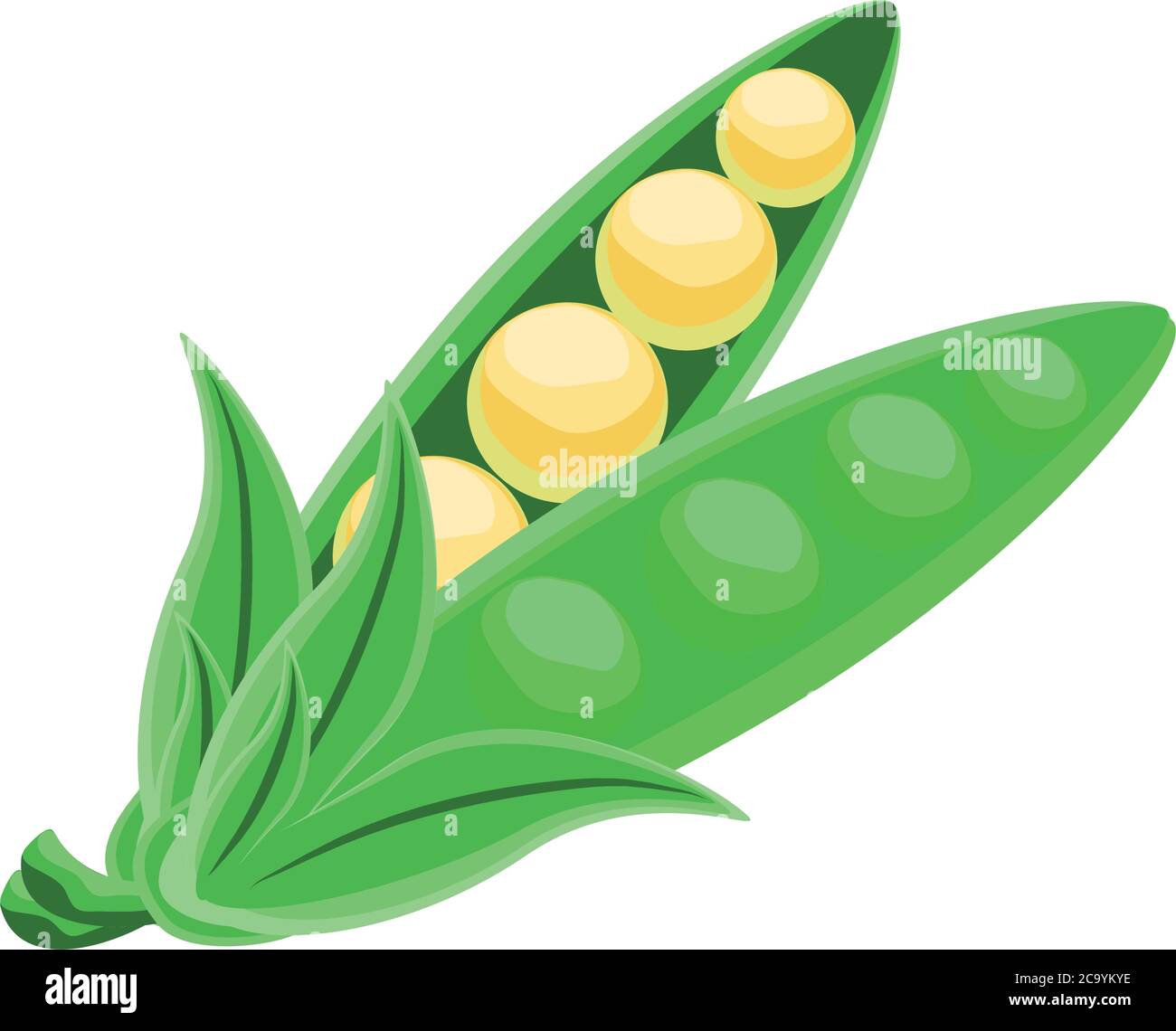 pea vegetable on white background vector illustration design Stock ...