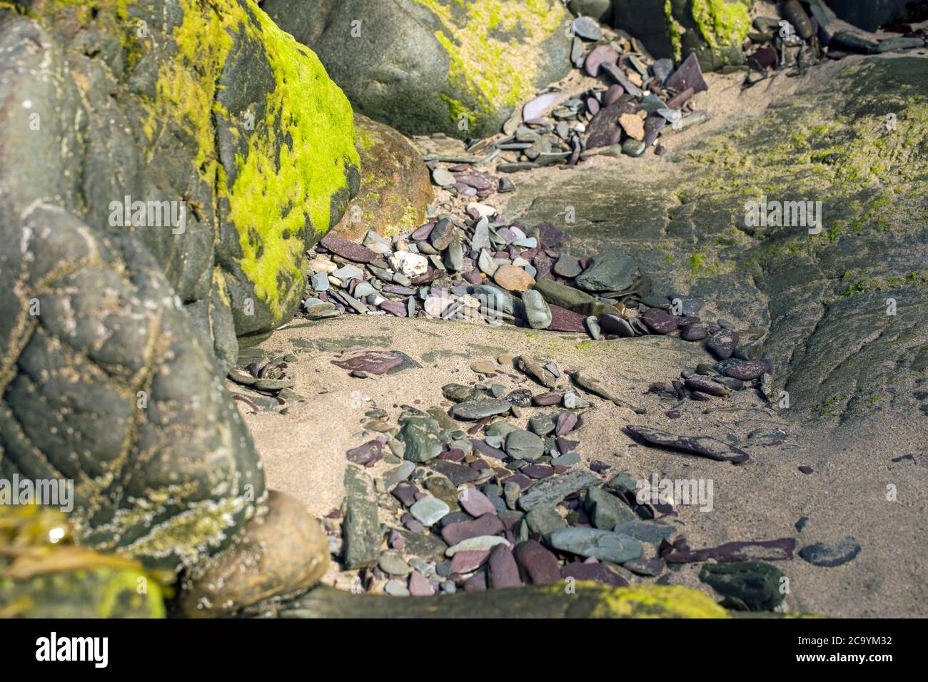 An accretion of pebbles in a tidal rock pool on a beach Stock Photo - Alamy