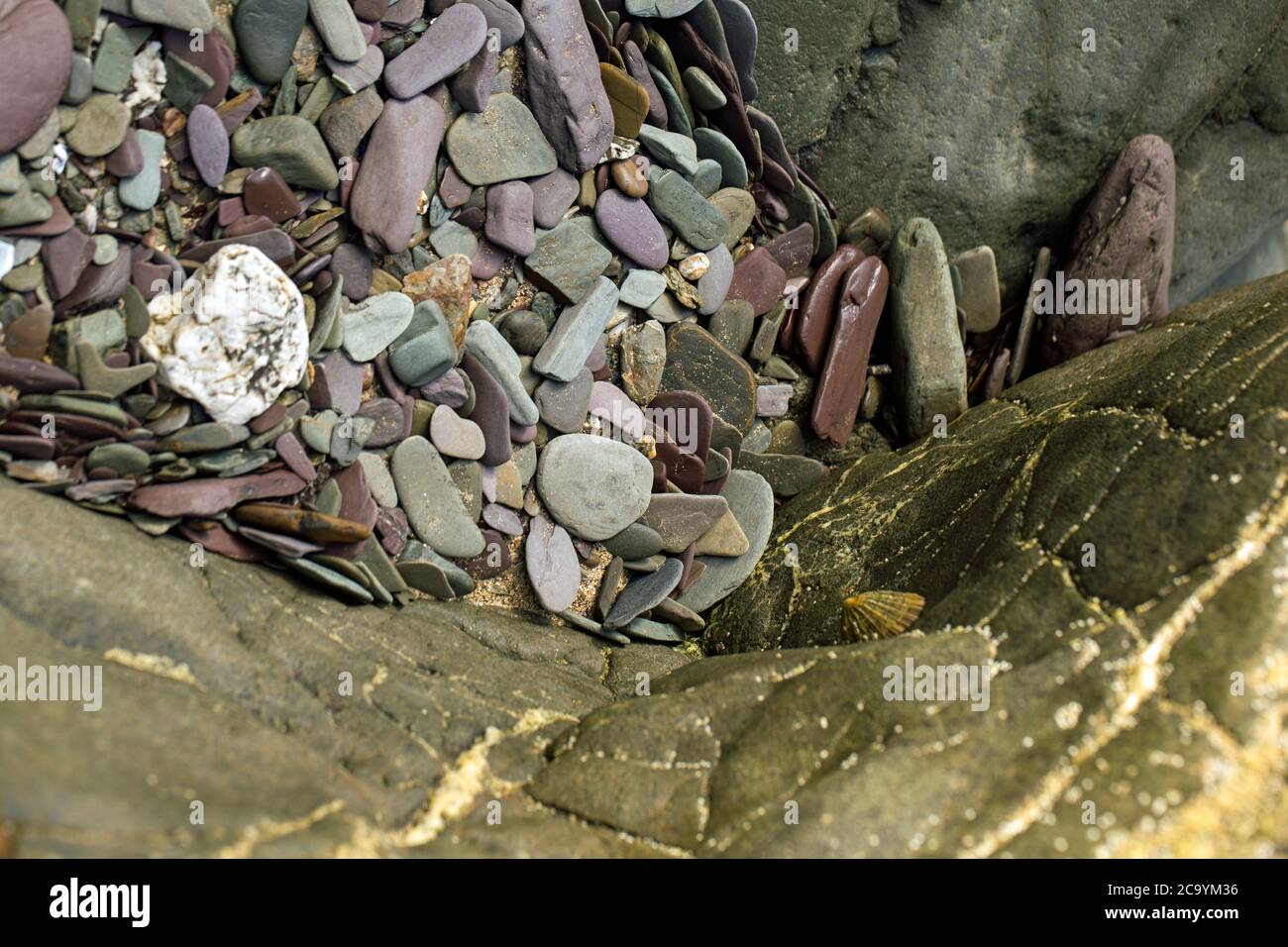 An accretion of pebbles in a tidal rock pool on a beach Stock Photo - Alamy