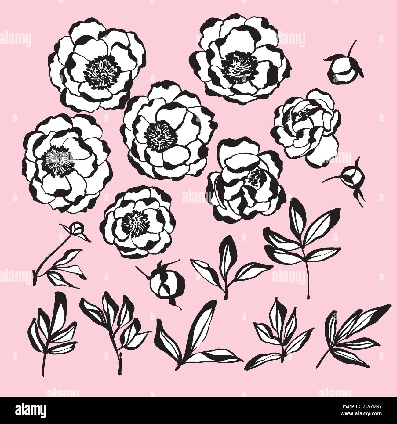 Hand drawn ink style flowers vector kit for design card, header ...