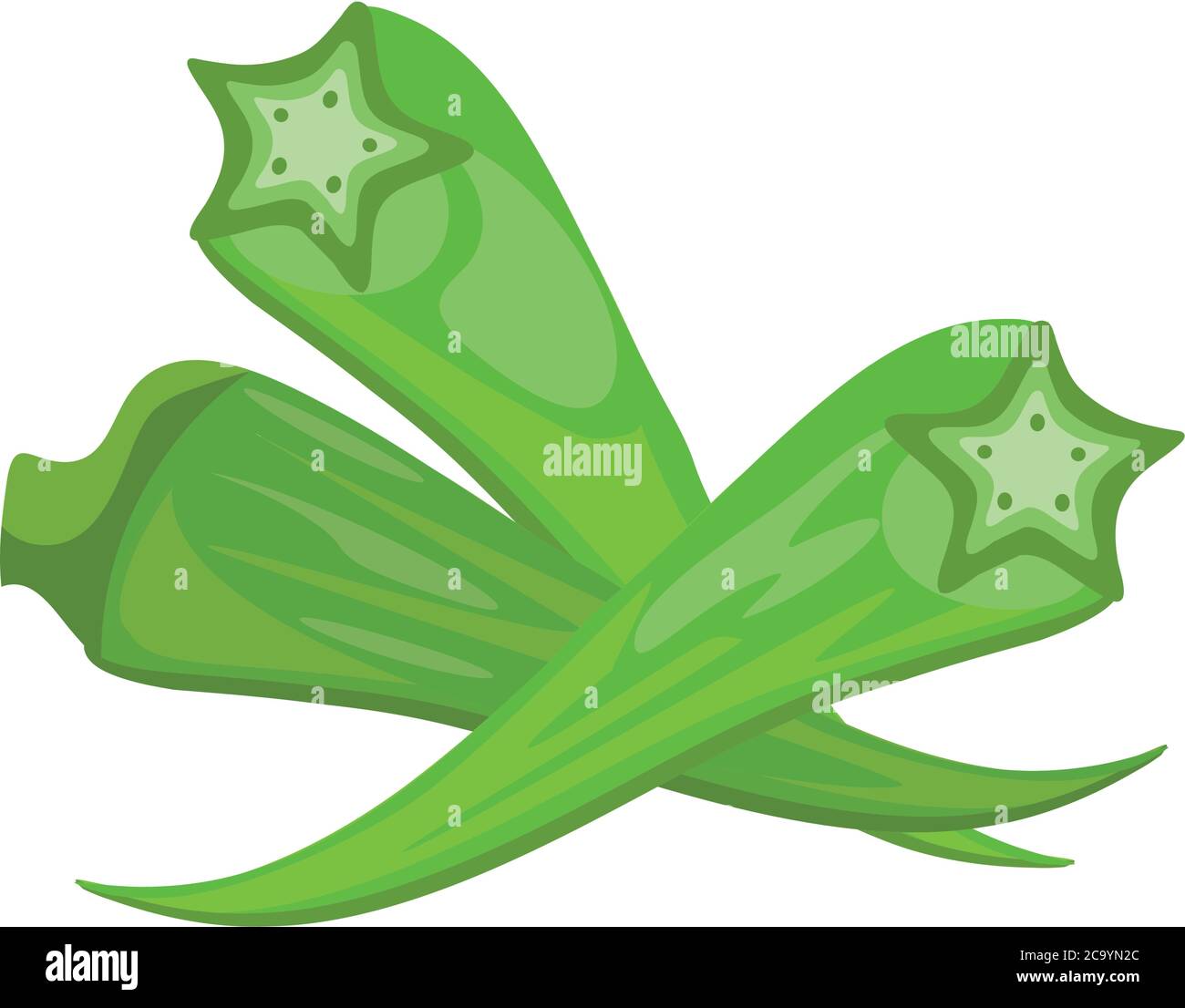 chili fresh on white background vector illustration design Stock Vector ...