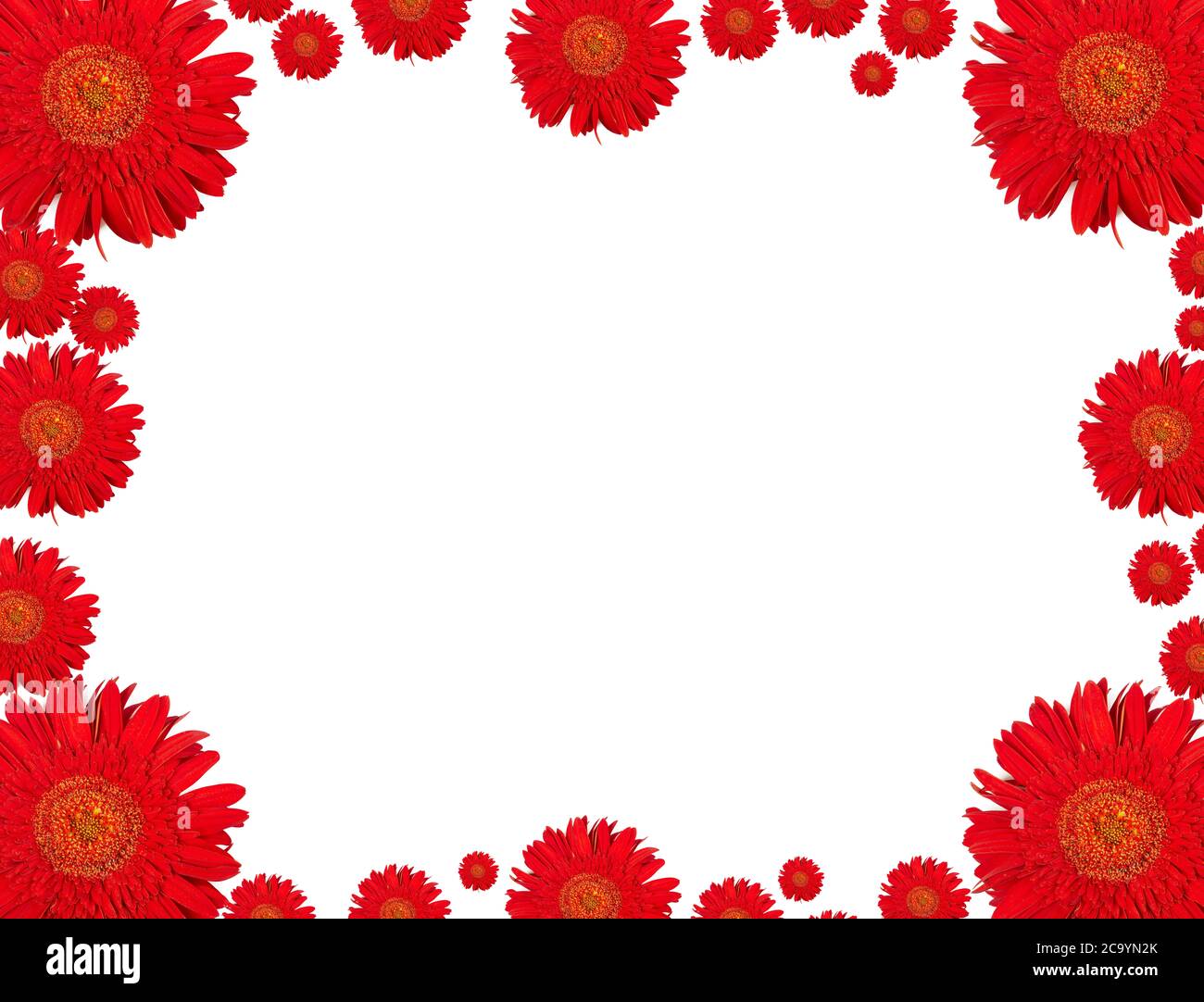 Daisy frame isolated Stock Photo - Alamy