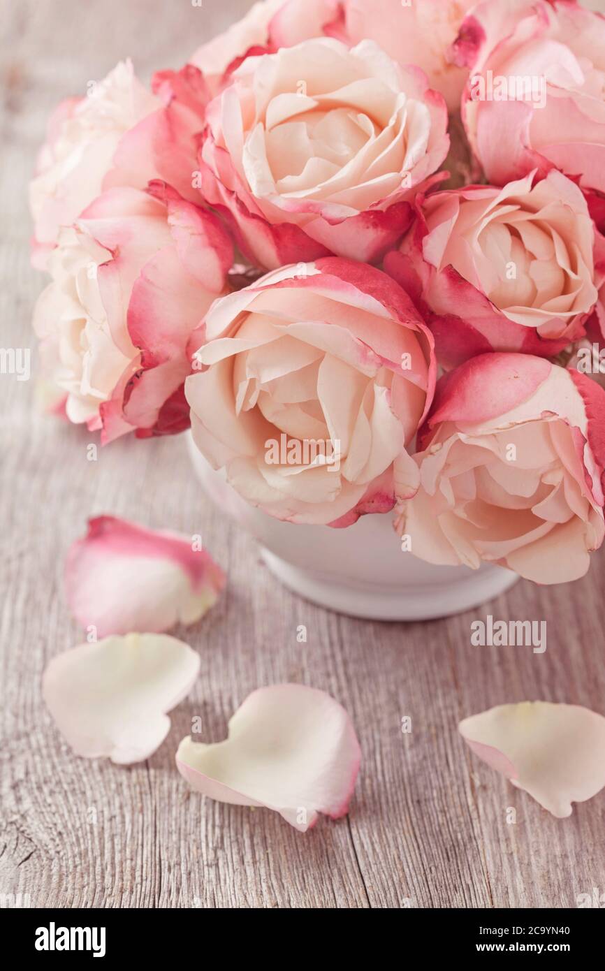Pink roses and petals on wooden desk Stock Photo - Alamy