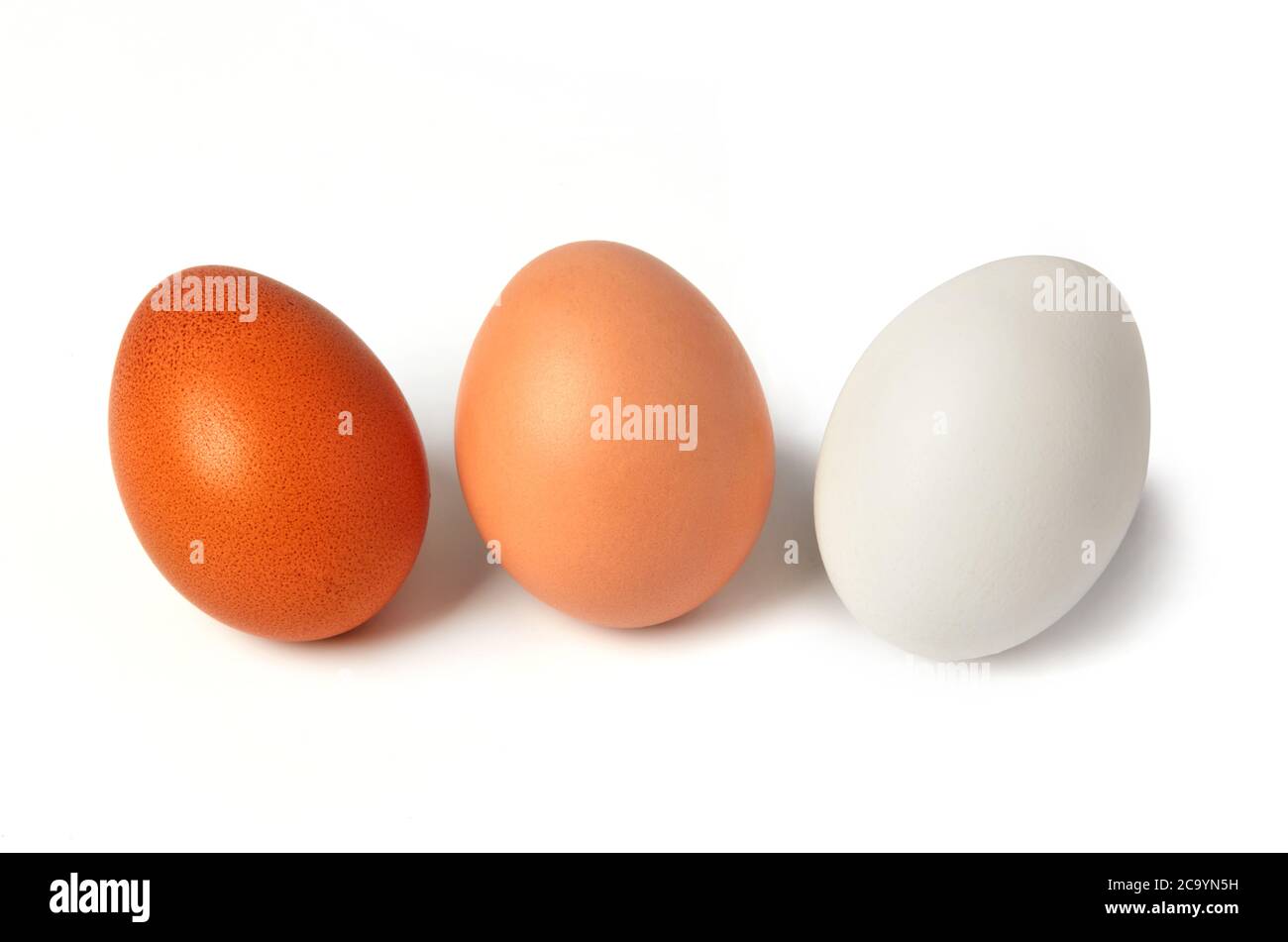 Different types of eggs isolated on white Stock Photo - Alamy