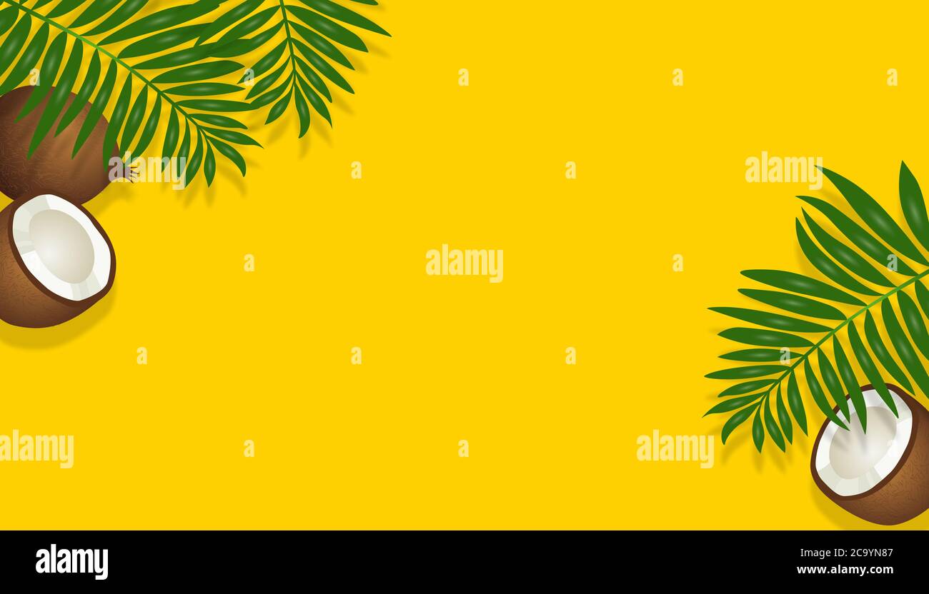 Coconut tropical Fruit Background - illustration Stock Photo - Alamy