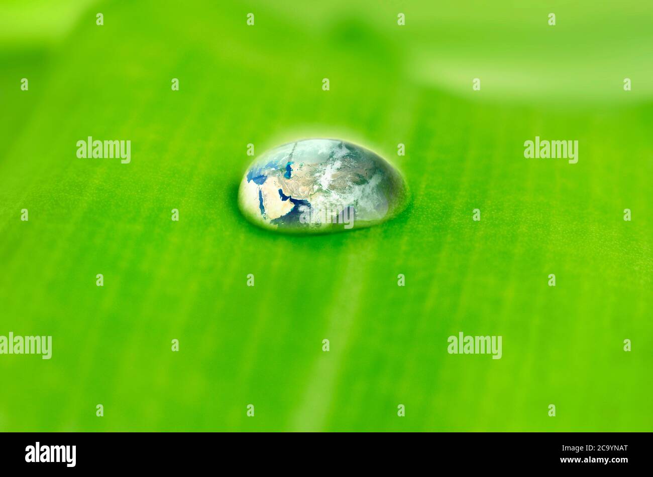 Earth raindrop on leaf Stock Photo - Alamy