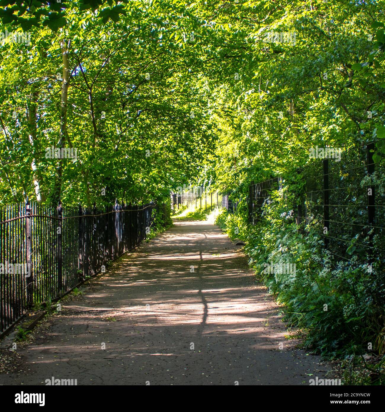 Metal fenced hi-res stock photography and images - Alamy