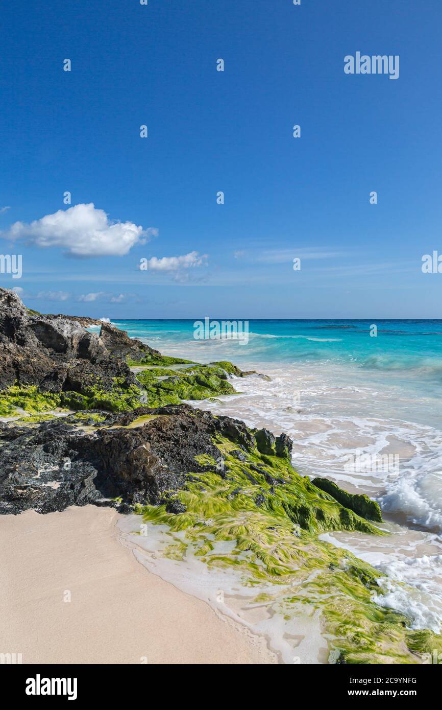 Rock formations on the coast, at Elbow Beach on the island of Bermuda ...