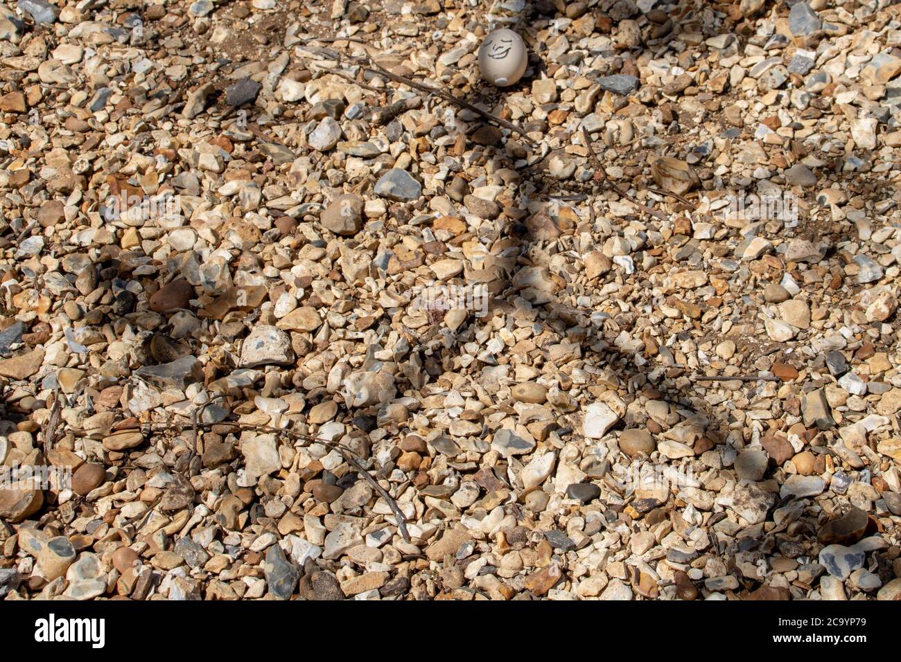 Shadow of egg hi-res stock photography and images - Alamy