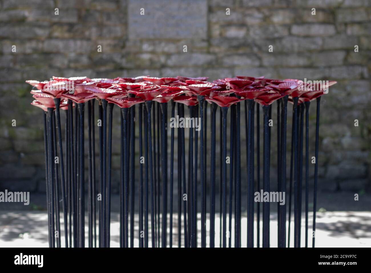 Naval poppy memorial hi-res stock photography and images - Alamy