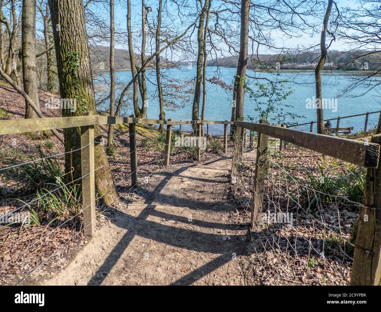 Treas hi-res stock photography and images - Alamy