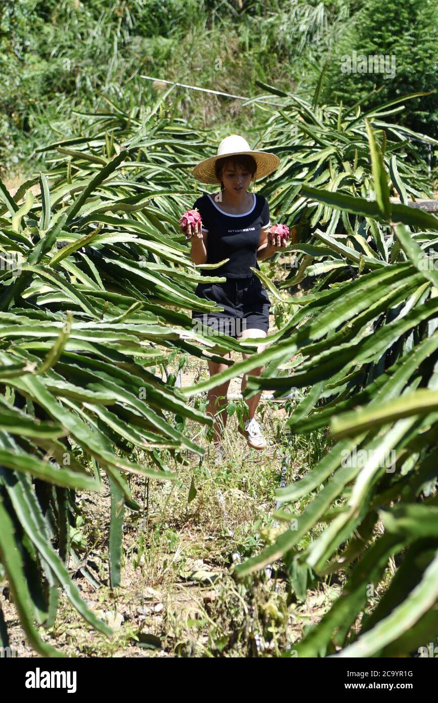 Baojing, China's Hunan Province. 3rd Aug, 2020. Yi Runju, head of a ...