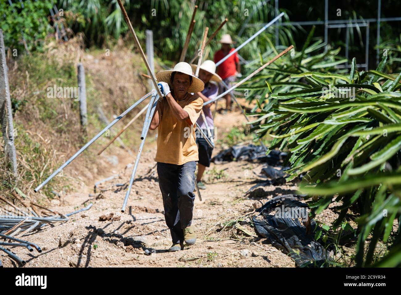 Baojing, China's Hunan Province. 3rd Aug, 2020. Farmers repair a dragon ...