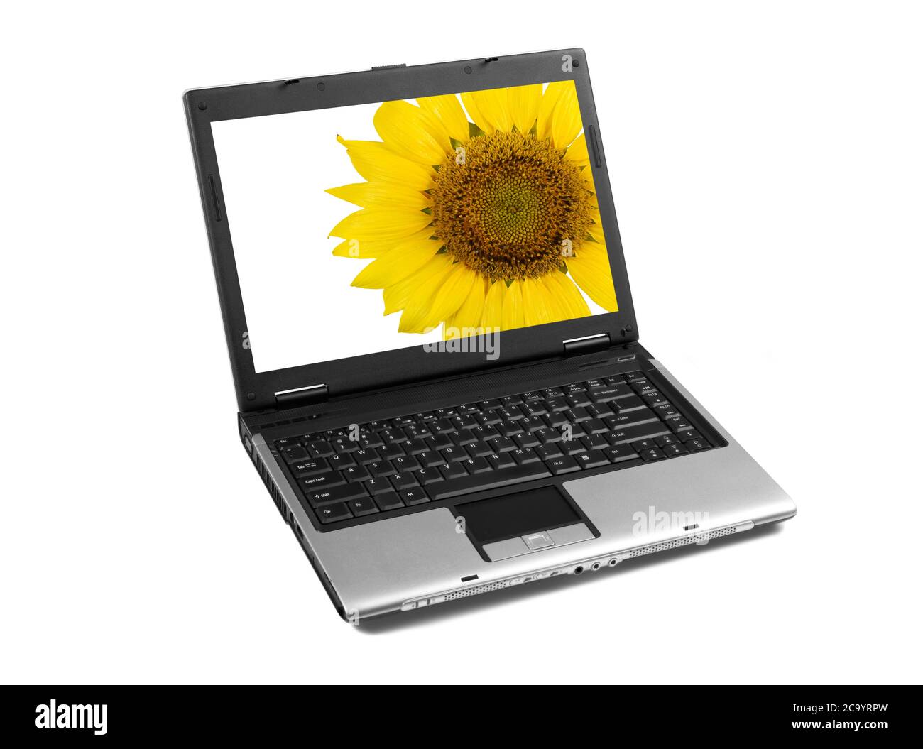 Laptop with sunflower isolated Stock Photo - Alamy