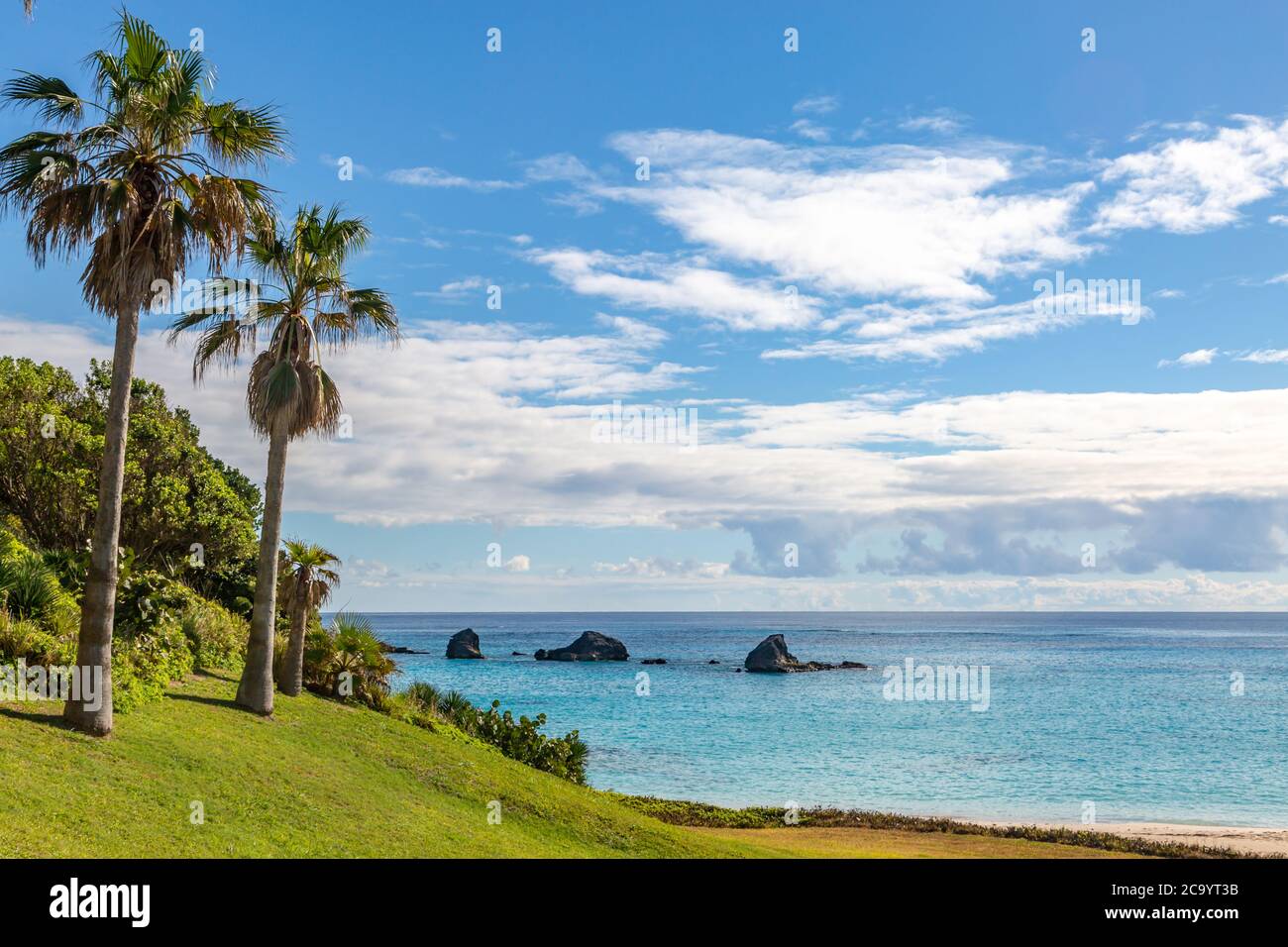 Bermuda beach people palm hi-res stock photography and images - Alamy
