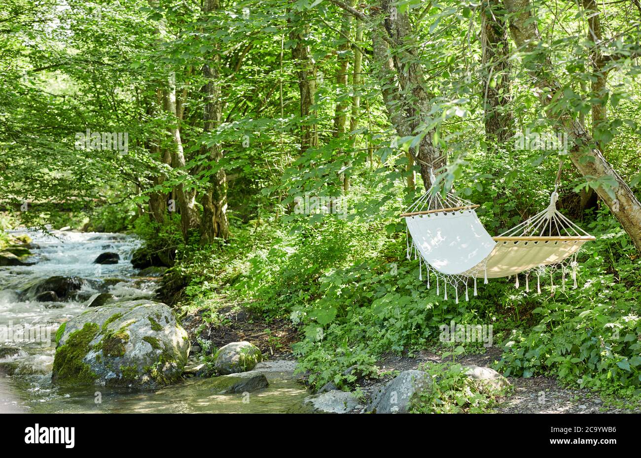 Hammock in the forest by the river Stock Photo - Alamy