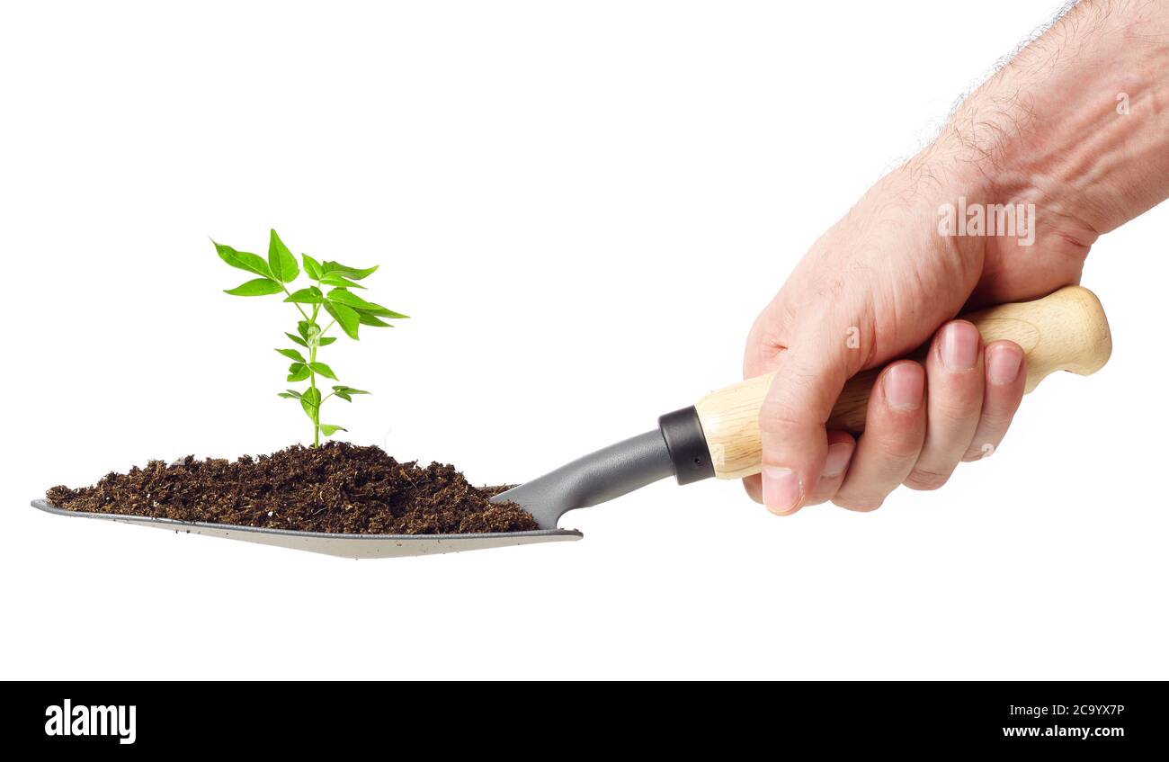 Hand soil leaf plant hi-res stock photography and images - Alamy