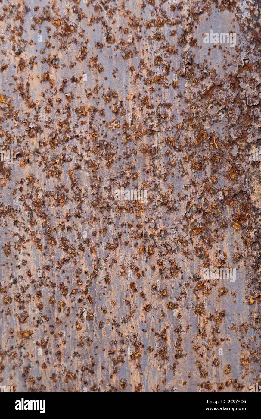 Old sheet metal from rust. Corroded metal background. Vertical frame ...