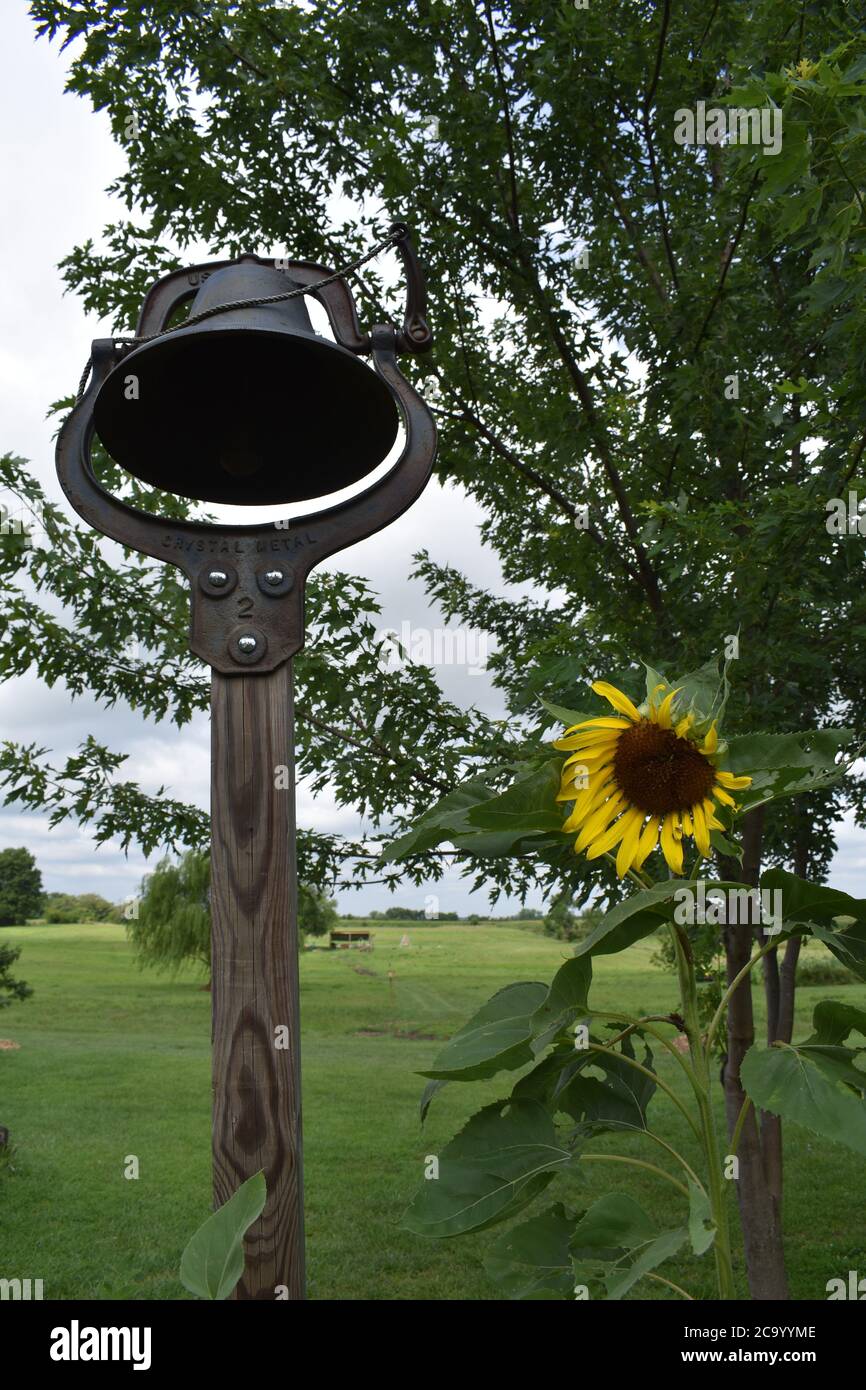 Dinner Bell and Sunflower Stock Photo - Alamy