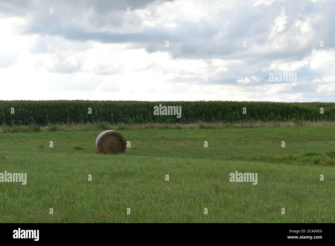 Bale of corn hi-res stock photography and images - Alamy