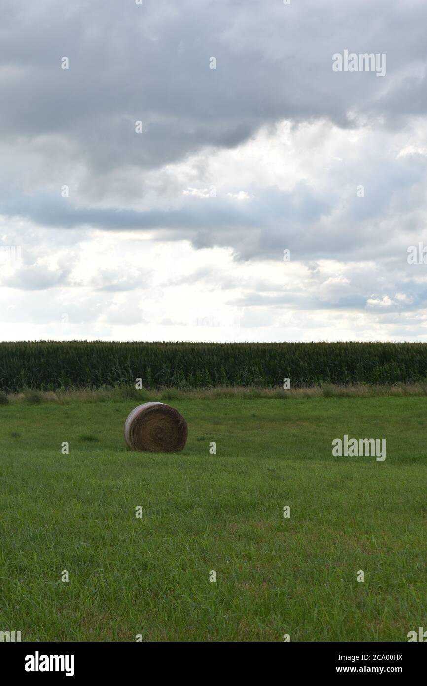 Bale of corn hi-res stock photography and images - Alamy