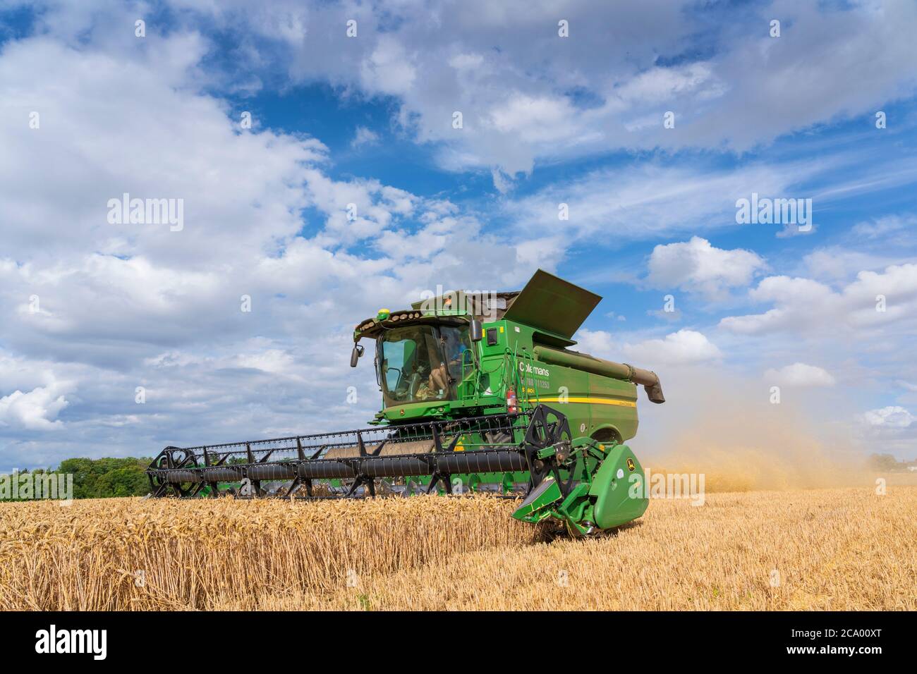 Farmer wheat harvesting hi-res stock photography and images - Alamy
