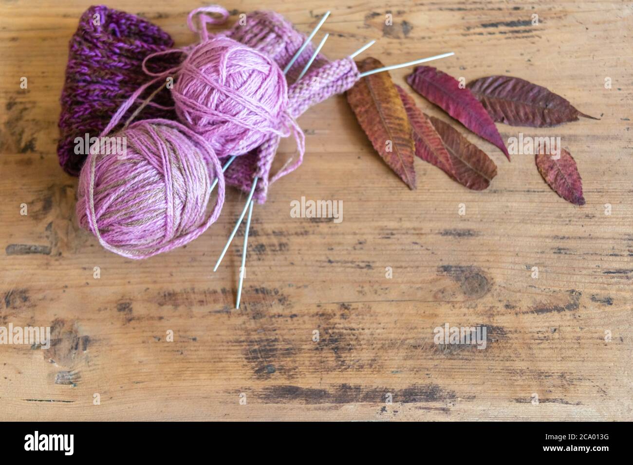 Flat lay of wool knitting and leaves with copy space on rustic wooden ...