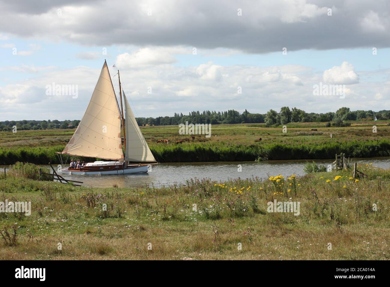 Wooden sailing yacht under full sail, sailing on river Brure in Norfolk ...