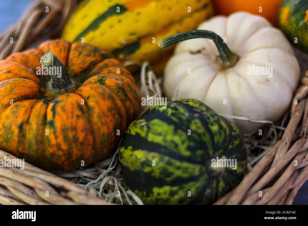Close up assortment pumpkins hi-res stock photography and images - Alamy
