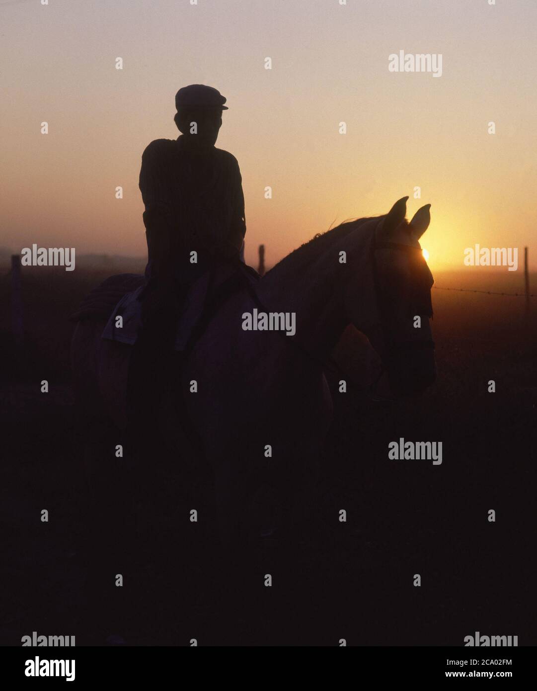 CAMINO DEL ROCIO - SILUETA DE UN CABALLISTA - FOTO 1978. Location ...