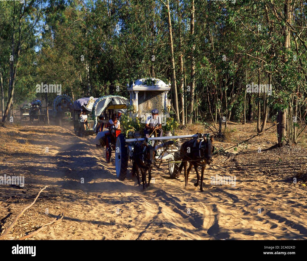 CARAVANA DE CARRETAS CAMINO DEL ROCIO - FOTO 1978. Location: ROMERIA ...
