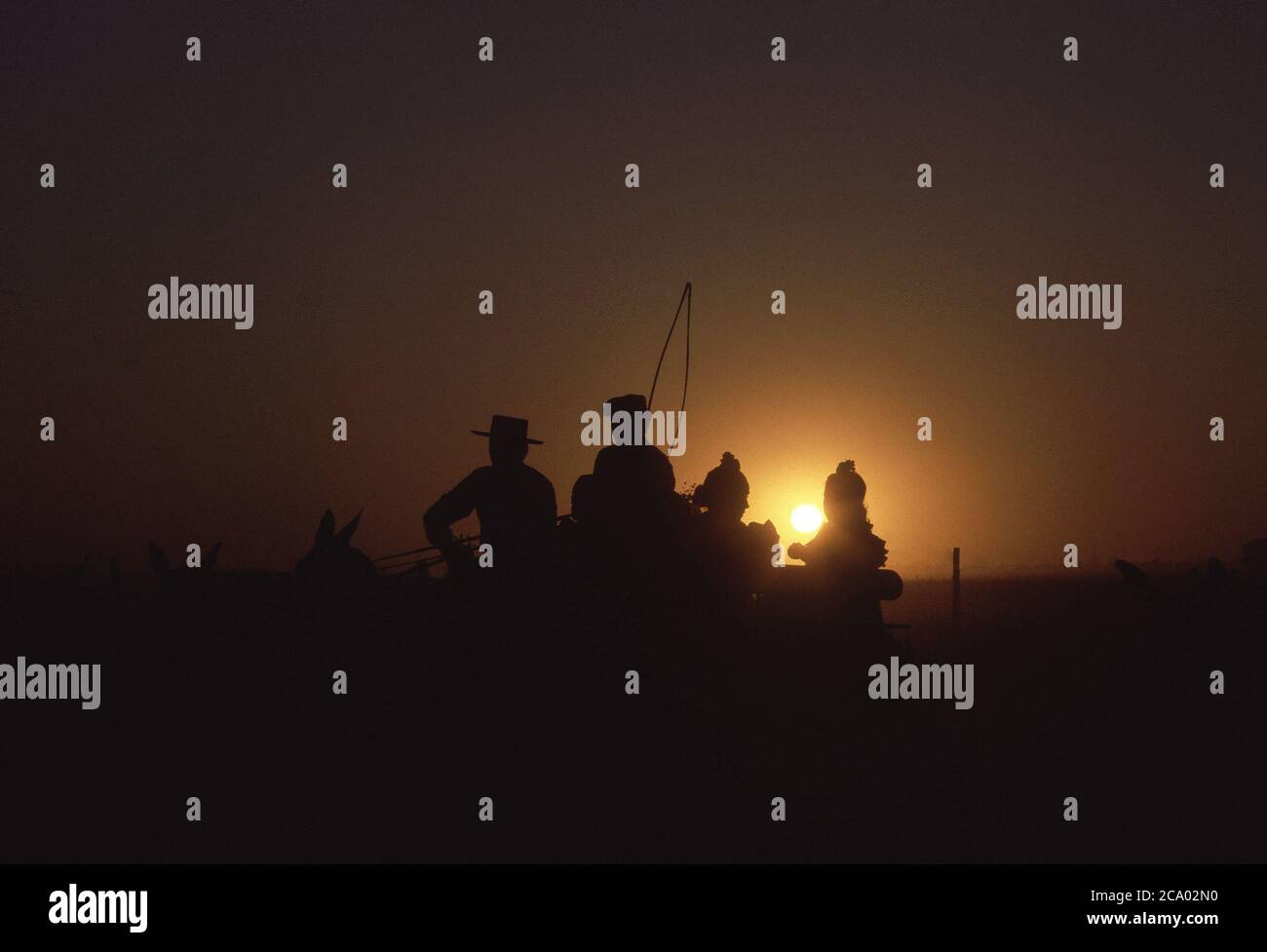CAMINO DEL ROCIO - SILUETA DE UNA CARRETA CON ROCIEROS AL PONERSE EL ...
