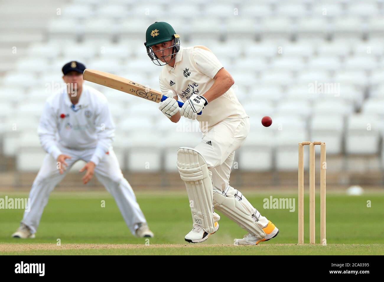Joey bats hi-res stock photography and images - Alamy