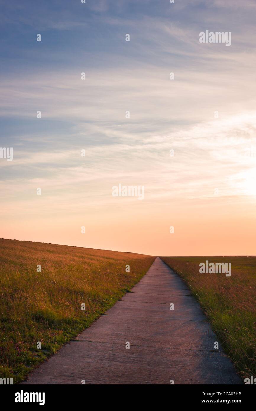 Concrete road on the seaside of a dike in tall yellow grass with warm ...