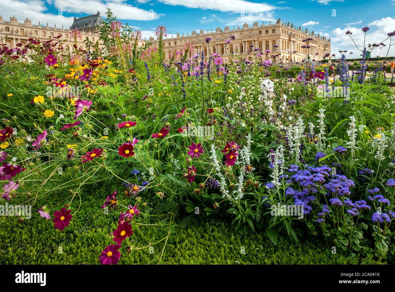 Blossoming flower beds at Versailles Palace Park Stock Photo - Alamy