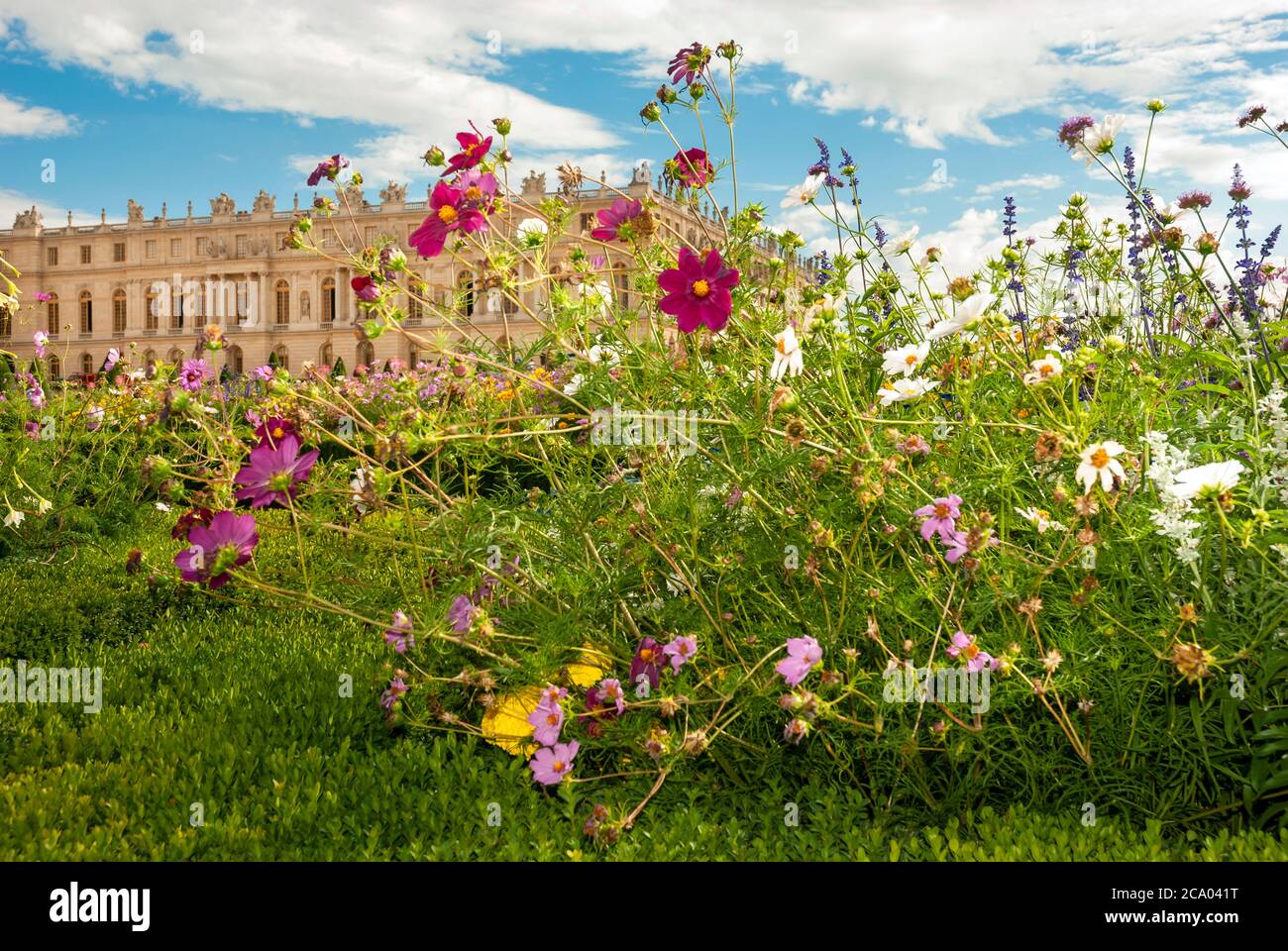 Blossoming flower beds at Versailles Palace Park Stock Photo - Alamy