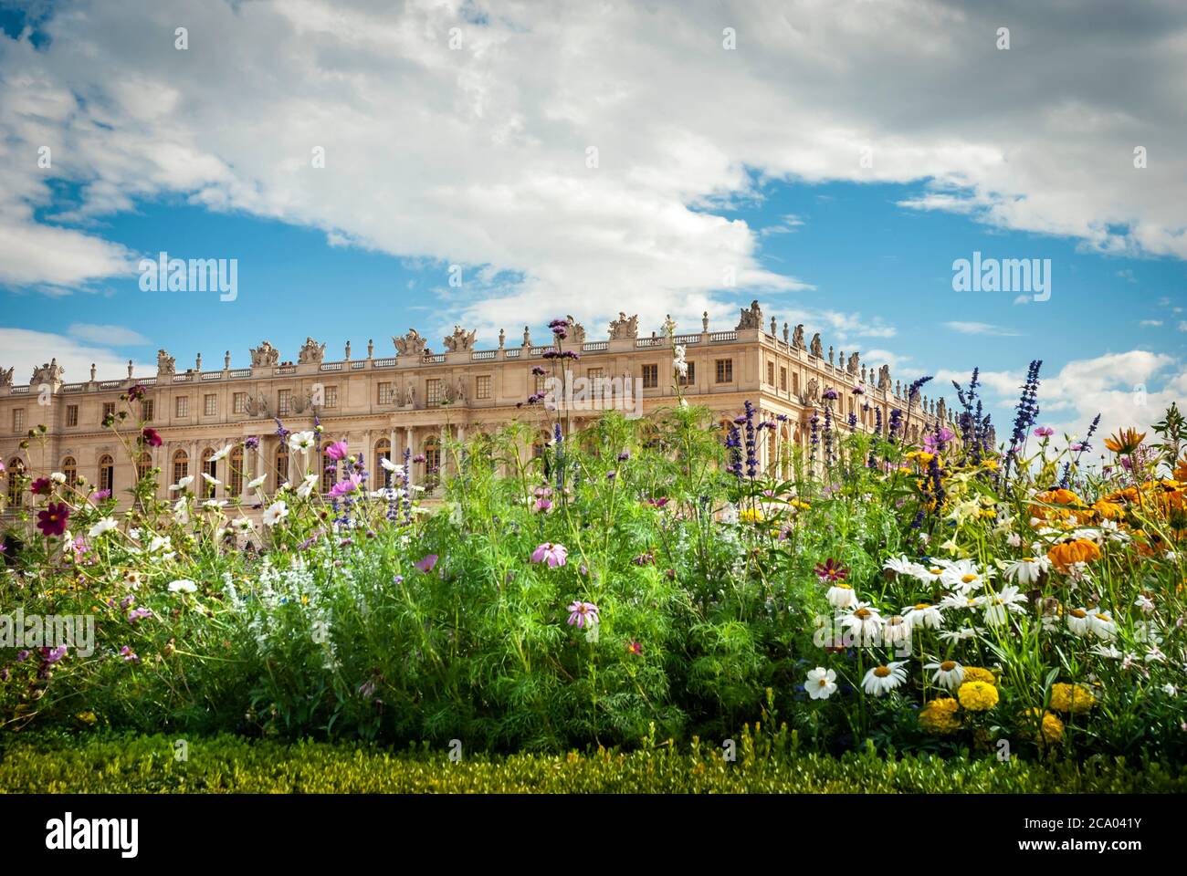 Blossoming flower beds at Versailles Palace Park Stock Photo - Alamy