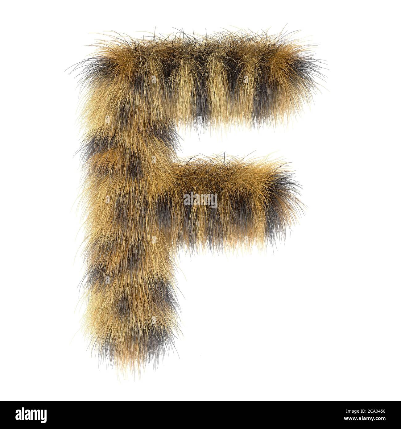 Letter cat font pet alphabet hi-res stock photography and images - Alamy