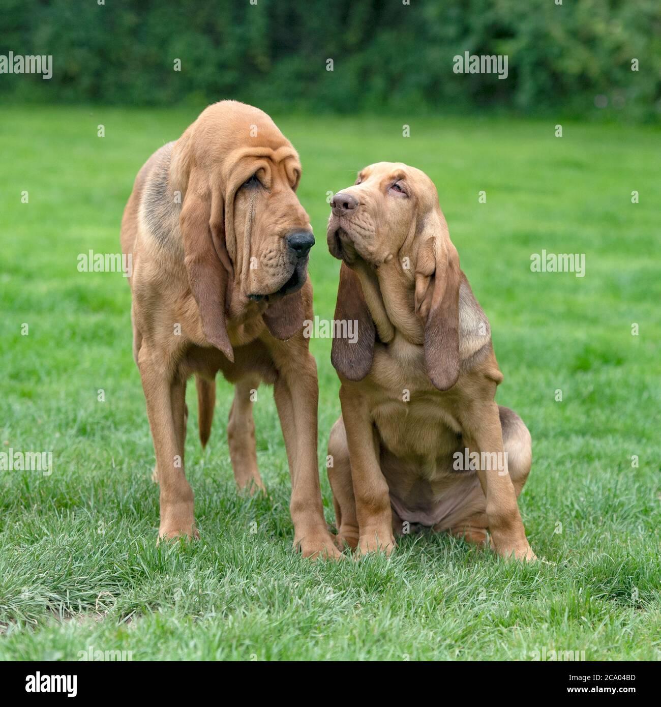 Sad mother funny hi-res stock photography and images - Alamy