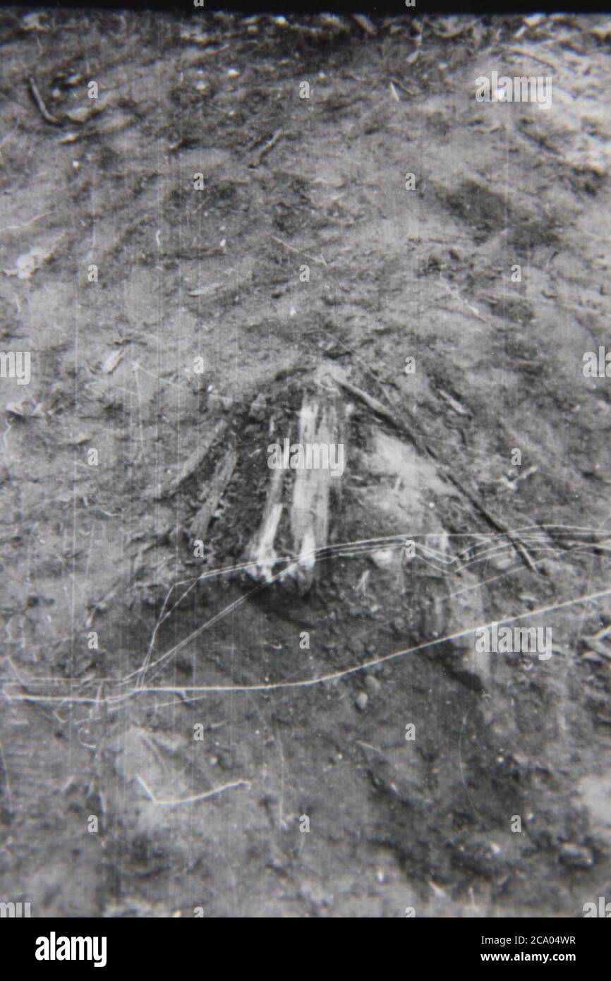 Fine 1970s vintage black and white photography of a stick that is stuck ...