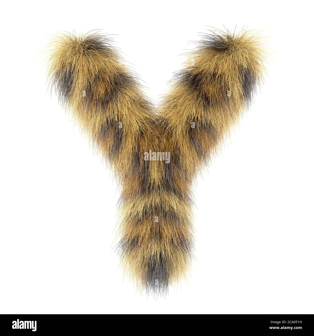 Y safari Cut Out Stock Images & Pictures - Alamy