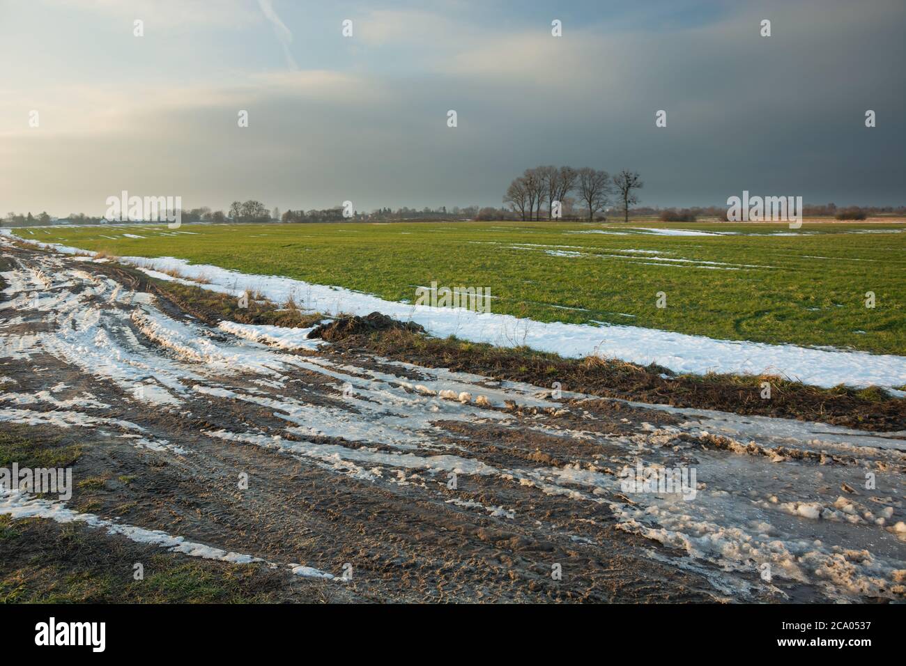 Frozen mud hi-res stock photography and images - Alamy