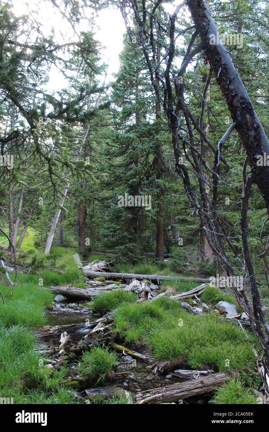 Great basin national park nevada hi-res stock photography and images ...