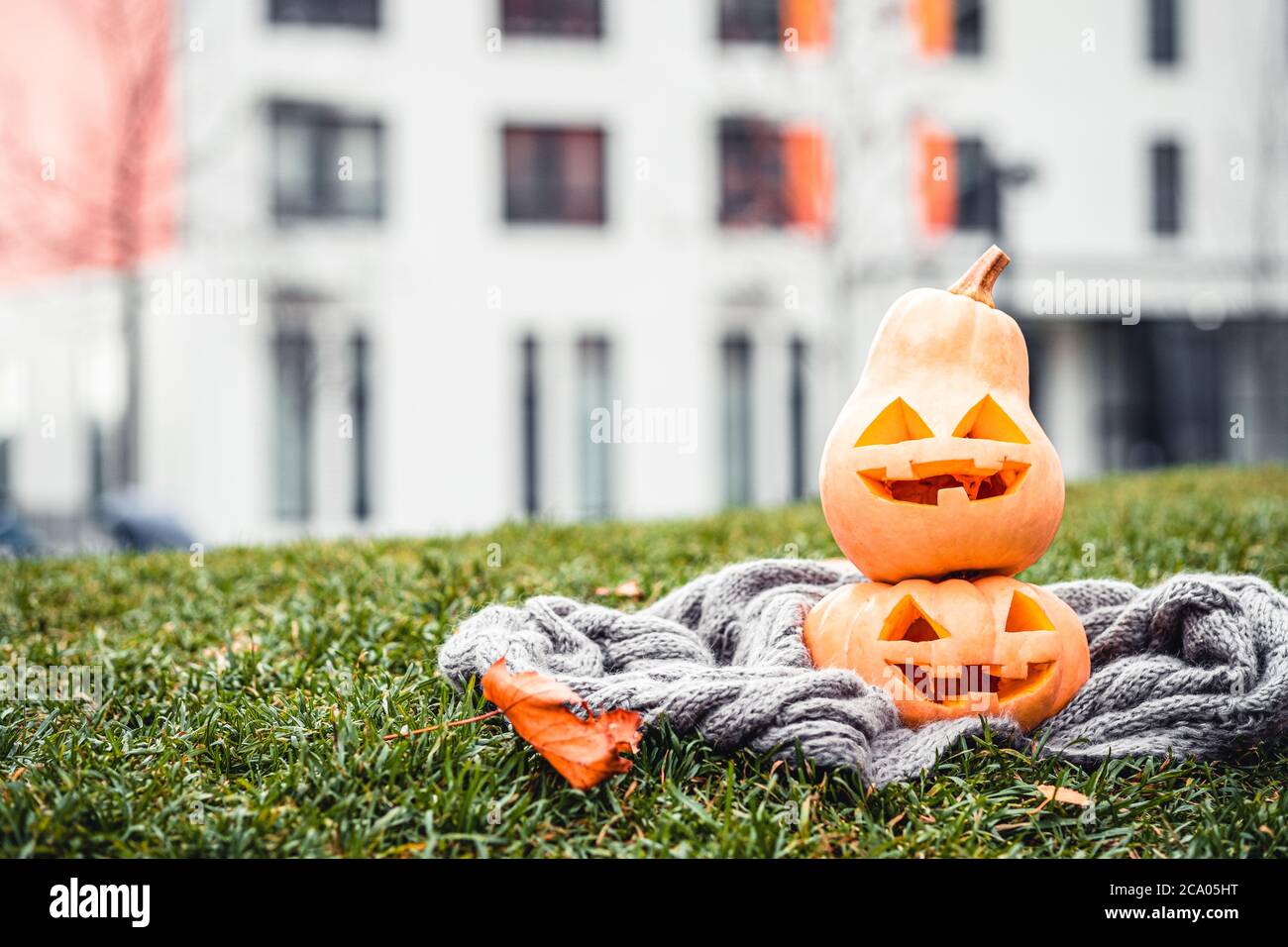 Jack o lanterns Halloween pumpkin face Stock Photo - Alamy