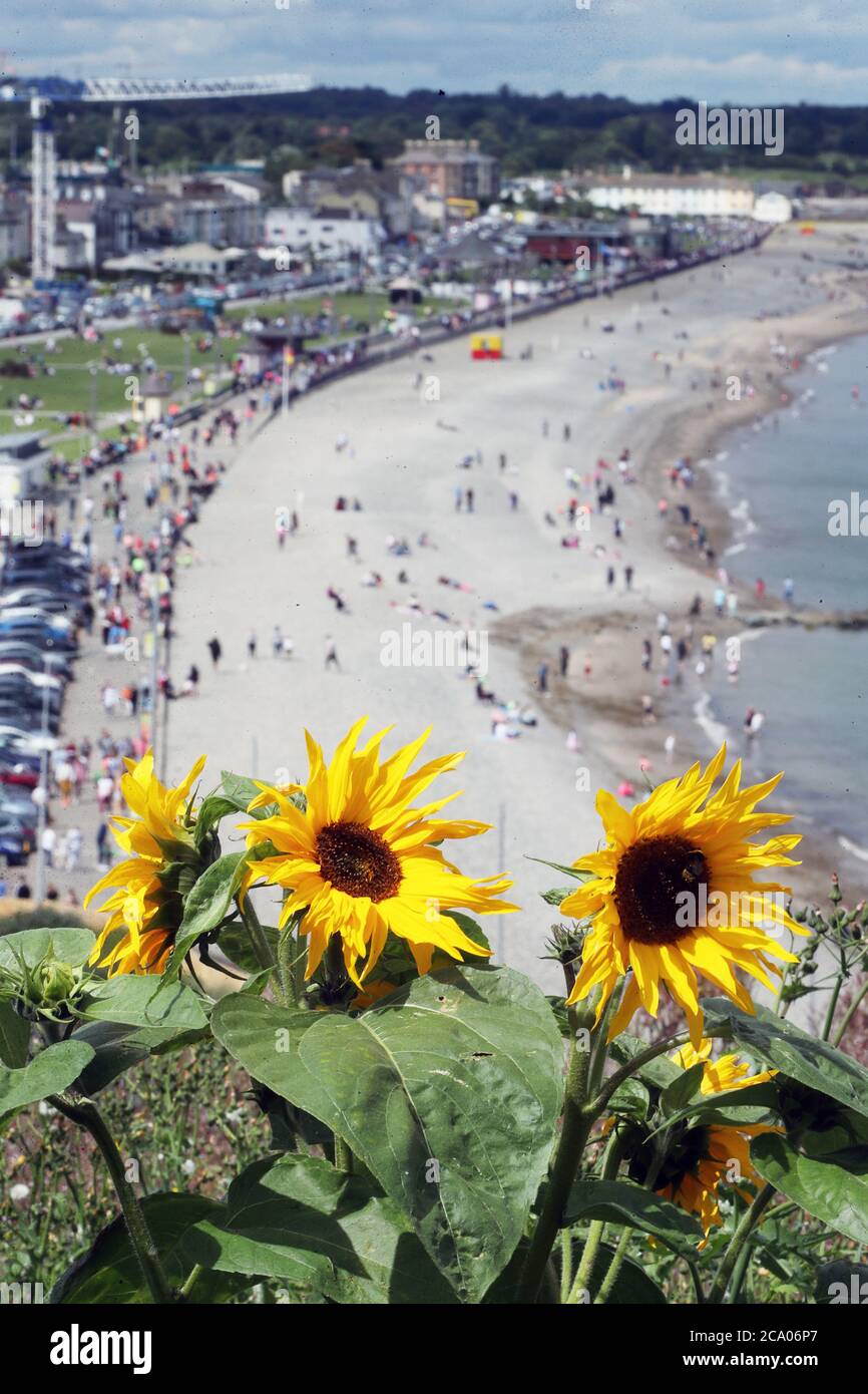 People enjoy the bank holiday sunshine in Bray Co Wicklow Stock Photo ...