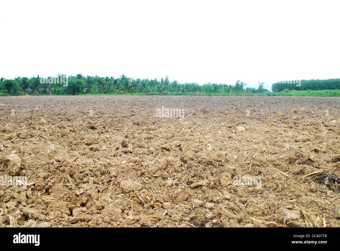 Harsh soil hi-res stock photography and images - Alamy