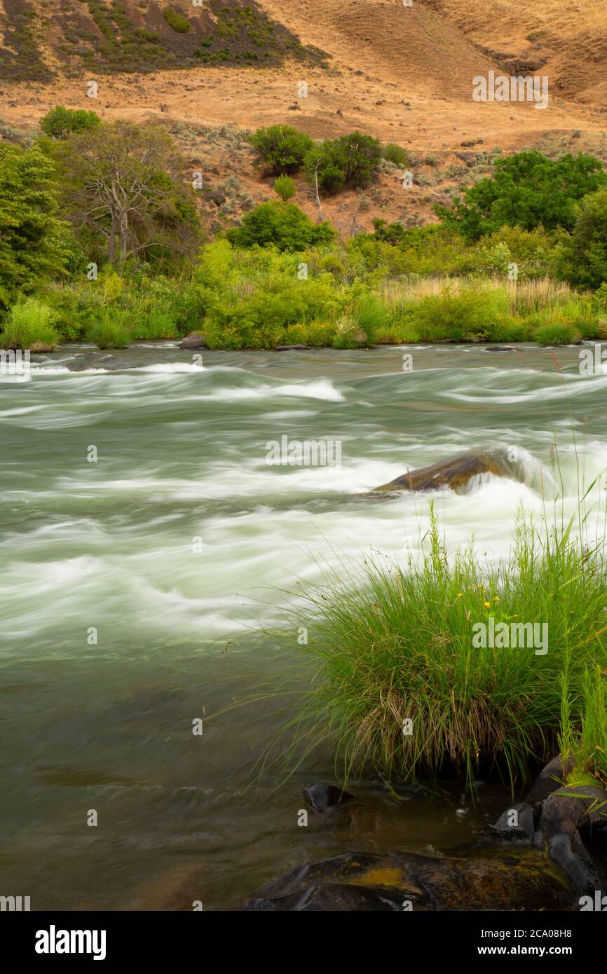 Deschutes Wild and Scenic River, Deschutes River State Park, Columbia ...